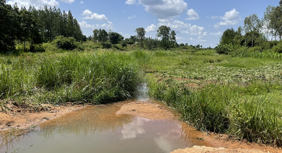 Climate Resilience Solutions in the West Nile Region of Uganda (CARIS ...