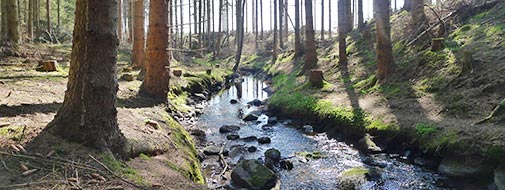 Ecological restoration of the upper river Øle Å – University of Copenhagen
